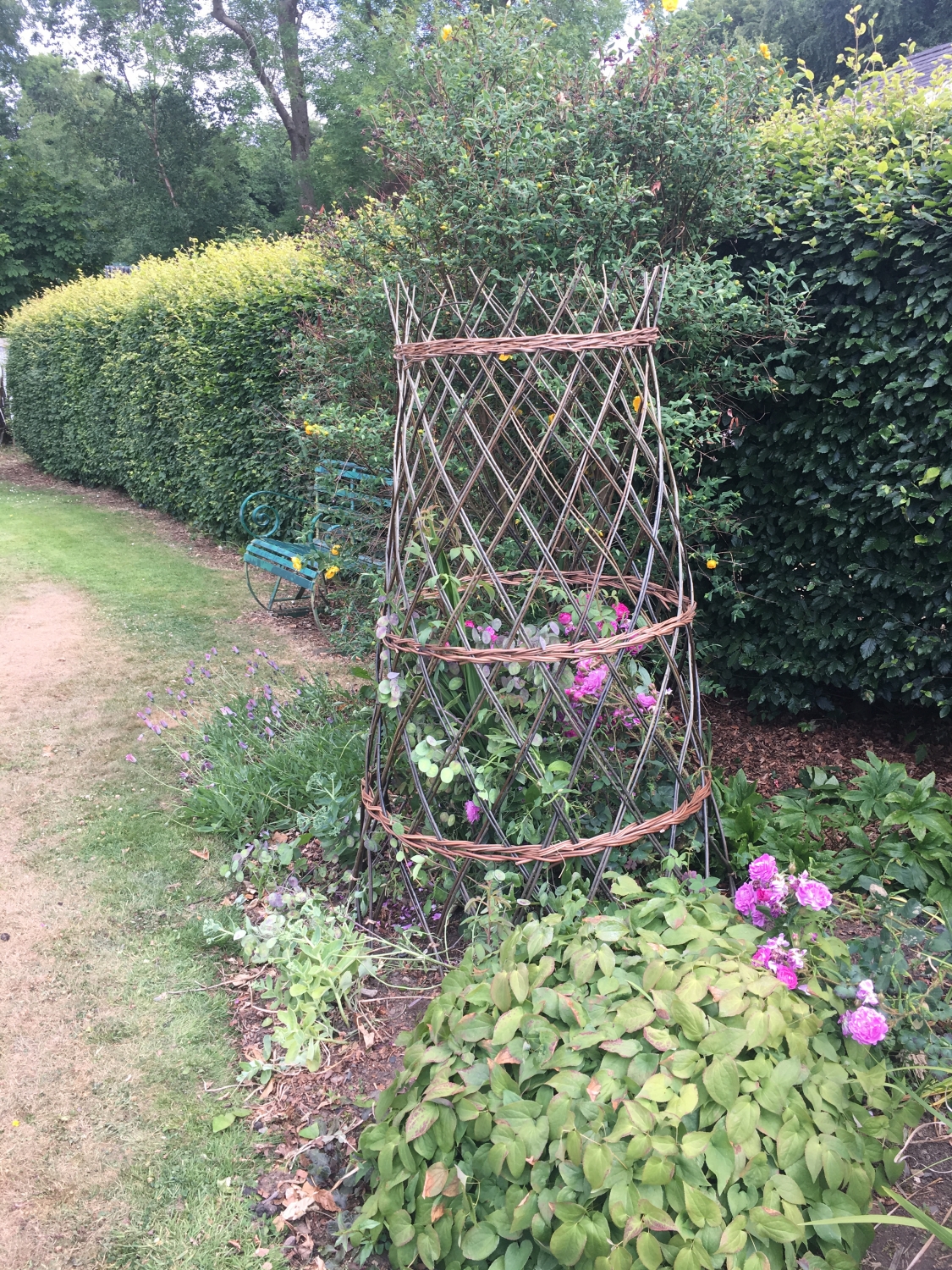 Decorative Willow - Bob Johnston Basket Maker
